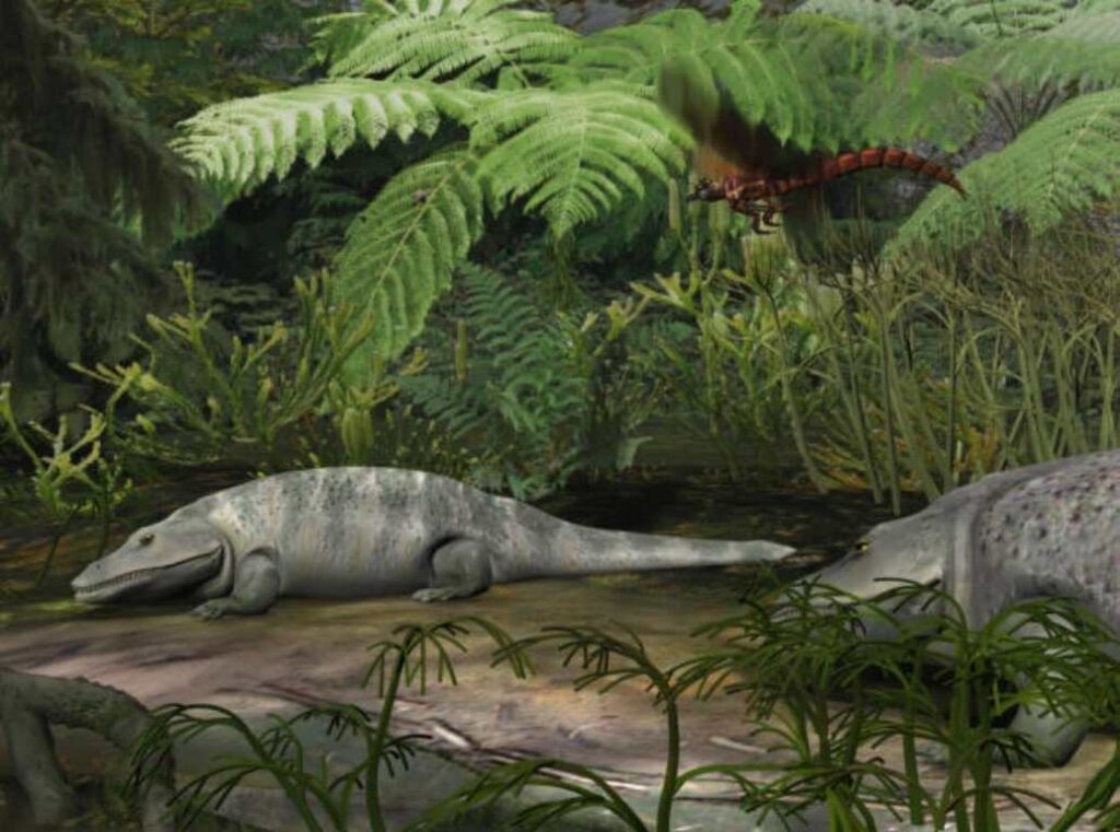 Scientists estimate weight and size of two extinct giant amphibians ...