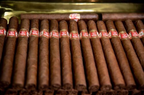 The world’s most important habano festival begins in Cuba - Prensa Latina