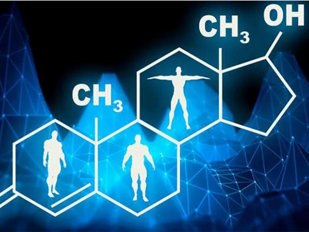 Russian scientists develop natural testosterone booster - Prensa Latina