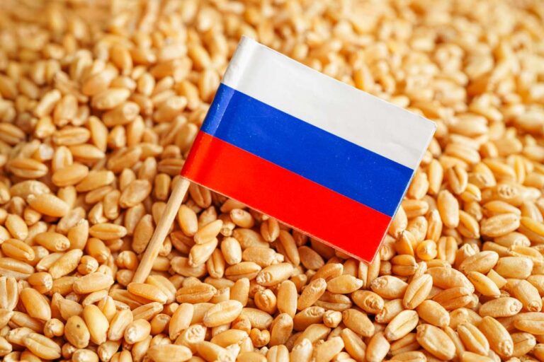 Export of Russian grains would exceed 55 million tons - Prensa Latina