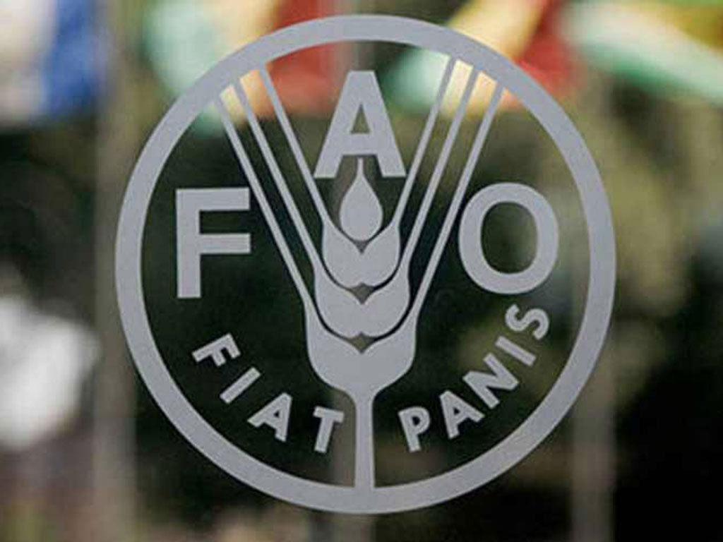FAO supports efficient management of organic waste in Cuba - Prensa Latina