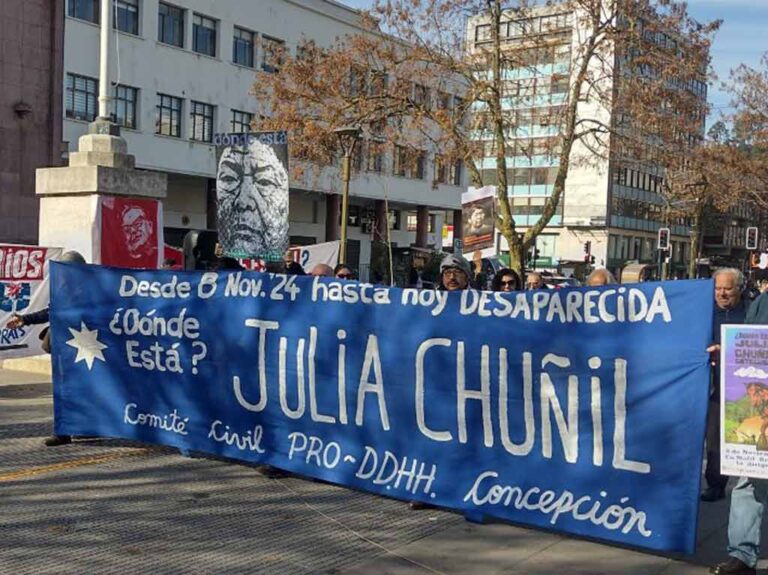 Chilean Mapuche leader Julia Chuñil has been missing for eight months ...